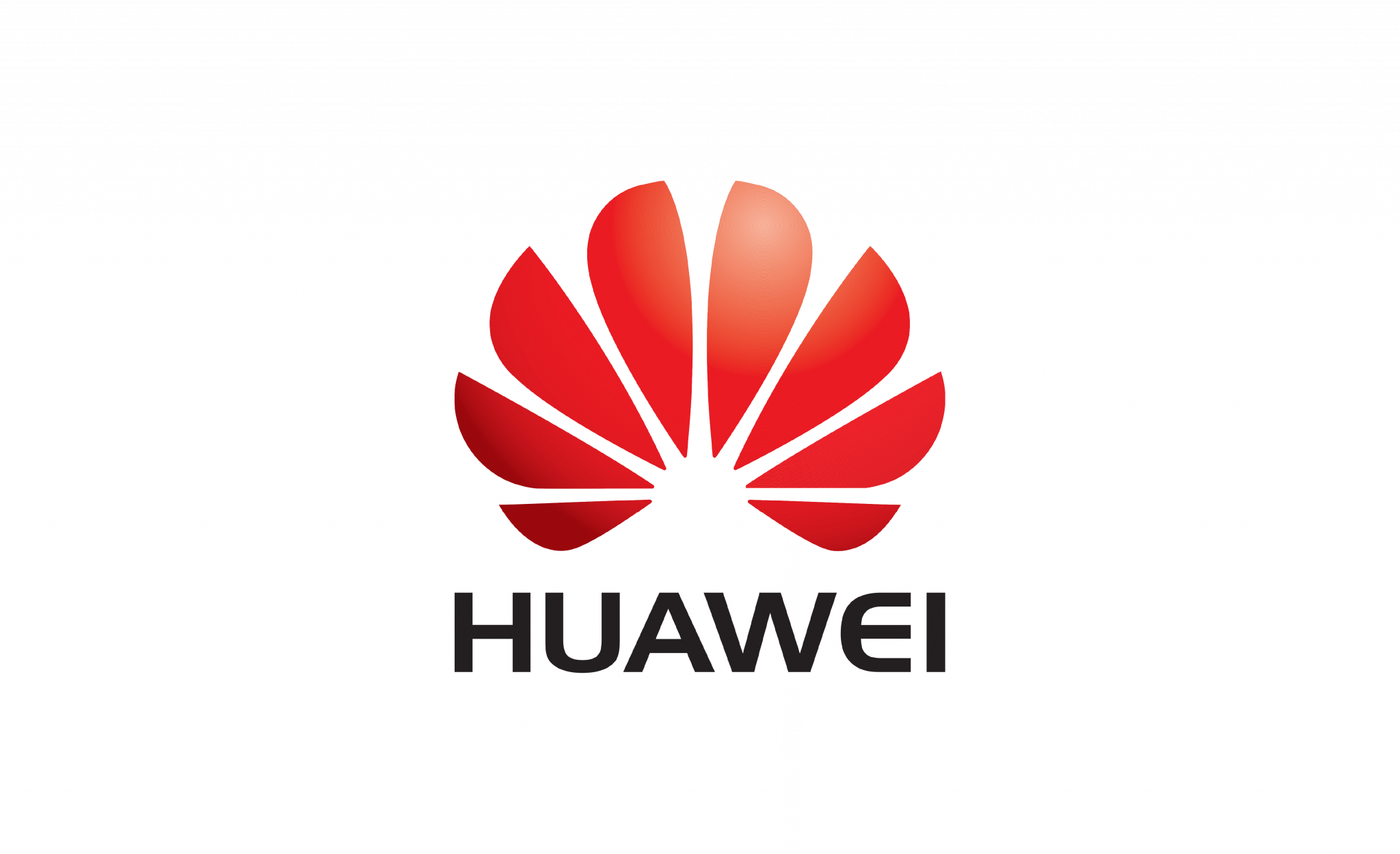 Proxi Solutions - Evernex Capital Solutions